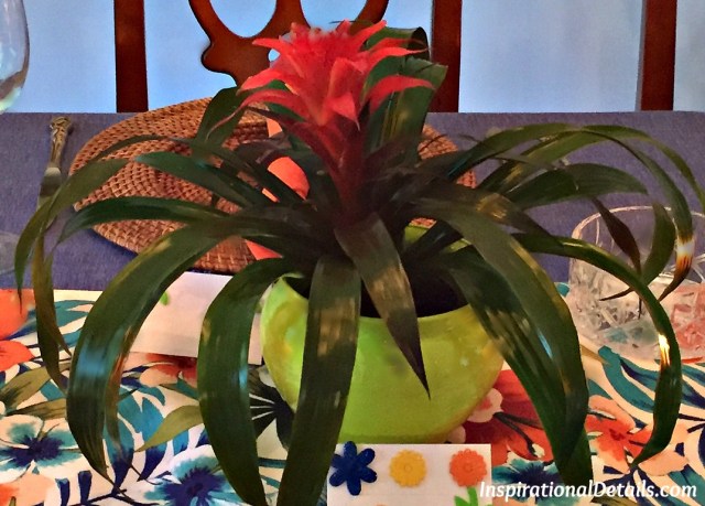 Polynesian Theme Dinner Party and Tablescape | Inspirational Details